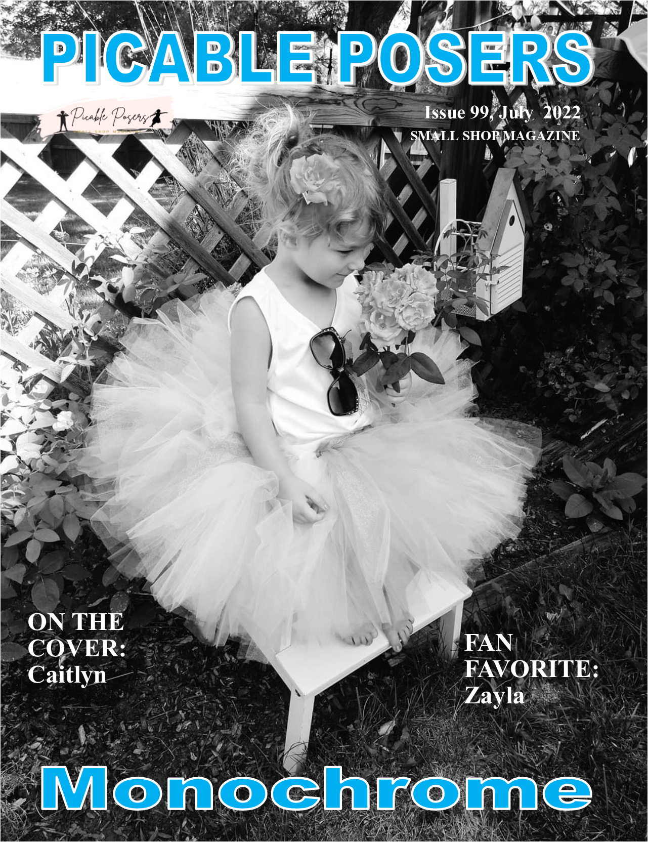 Monochrome DIGITAL ONLY – Picable Posers Small Shop Magazine